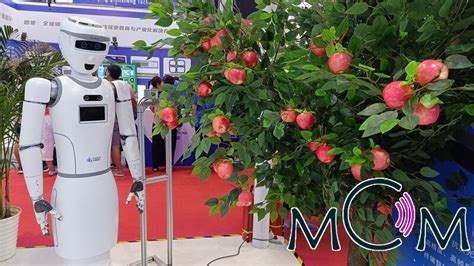 ადამიანებს ფერმერი რობოტები ჩაანაცვლებენ „მედიაცნტრი მთავარი“ პეკინიდან მედიაცენტრი მთავარი