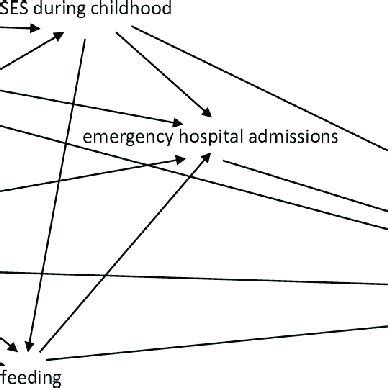 Visual Diagram Of Causal Relationships For Selection Of Confounder Download Scientific Diagram