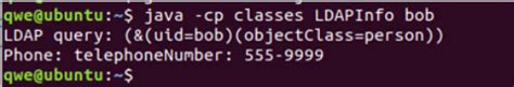 15 Attacking Ldap