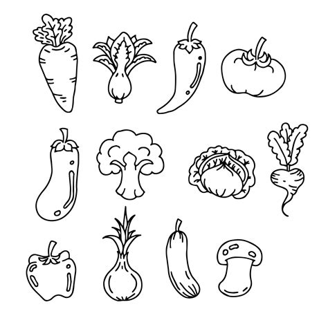 Vector Outline Vegetable Set Illustration 20487155 Vector Art At Vecteezy