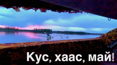 кус кус кус Youtube