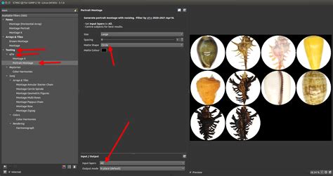 please how can i copy many duplicates in a grid format r gimp