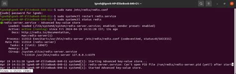 Liferay Session Management With Redis For Enhanced Performance