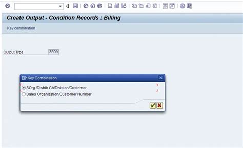 Sap Idocs For Customer Number With Different Sales Organizations