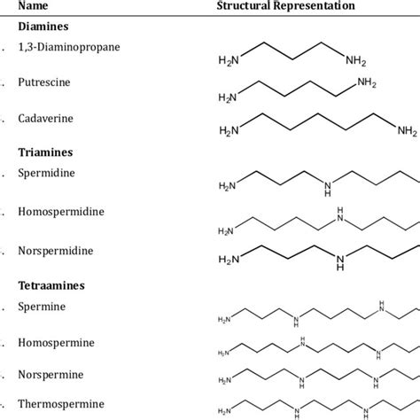 Structure Of Common And Uncommon Polyamines Download Scientific Diagram