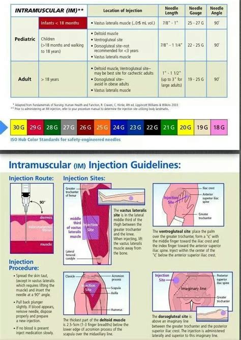 Im Injection Guidelines Nursing School Studying Nursing School Notes