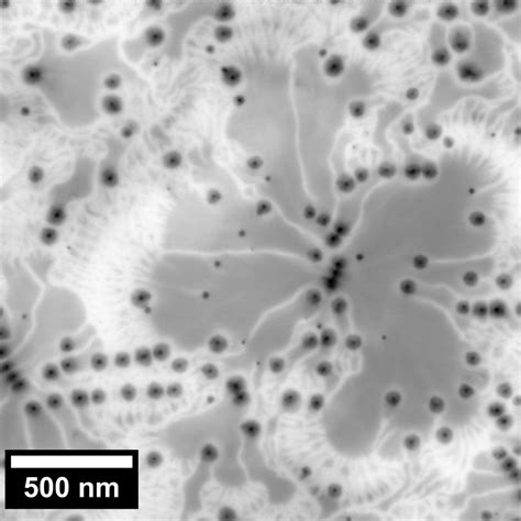 A Sub Surface Bse Sem Image Of A Porous Gan On Si Distributed Bragg Reflector Maruf Sarkar And