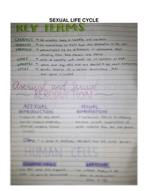 Solution Biology Study Material Sexual Life Cycle Studypool