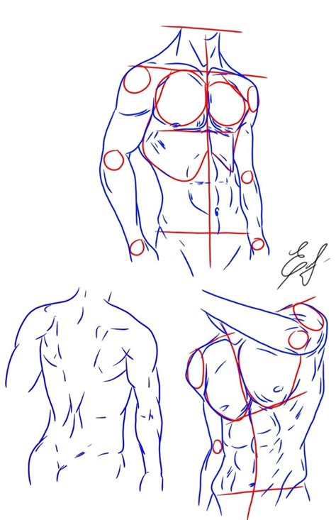 Как рисовать тело как в аниме