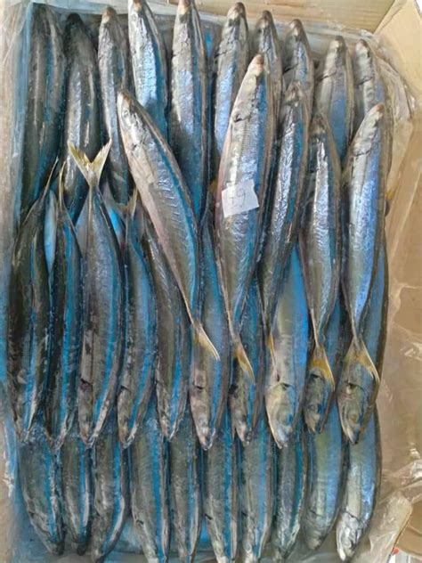 მაცხოვრის ფერისცვალების სამრევლო Makati