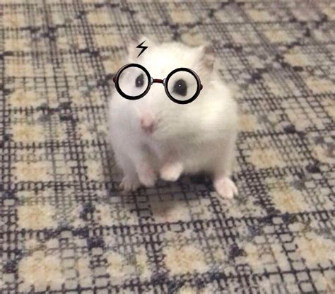 GitHub Nightmaredimple Nightmaredimple Github Io