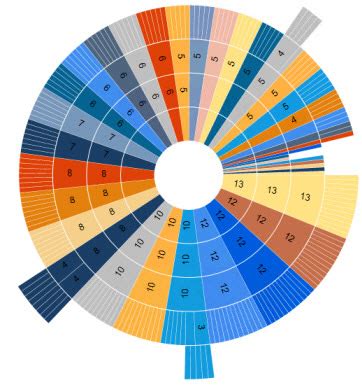 How To Create A Sunburst Graph In SSRS