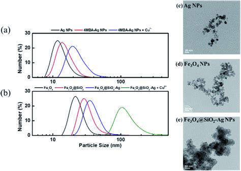 Particle Size And Morphology Of Agnps And Fe3o4 Sio2 Ag Composite Download Scientific Diagram