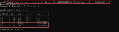 MySQL基础MySQL基本操作详解 CSDN博客