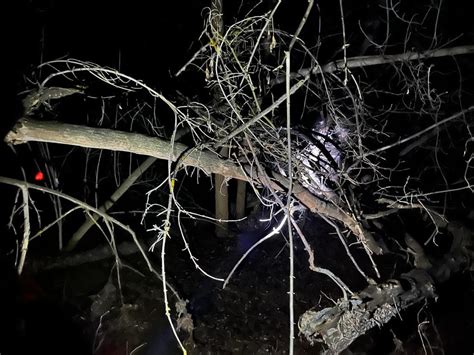 В Оренбургском районе мужчина спасался в подтопленном лесу на поваленном дереве Новости Оренбурга