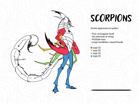 Trunswicked — Bunch Of Arthropod Guys Refs Created For Oc