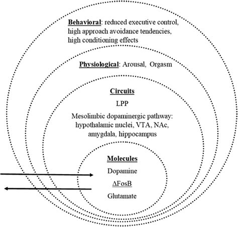 Integration Of Different Units Of Analysis Of Self Perceived