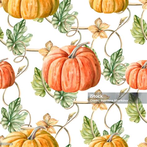 흰색 배경에 줄기와 호박이 있는 완벽 한 패턴입니다 농장 제품 포장 직물 및 벽지에 인쇄 요리 블로그의 디자인을 위한 식물 테마에 대한 수채화 그림 0명에 대한 스톡 벡터