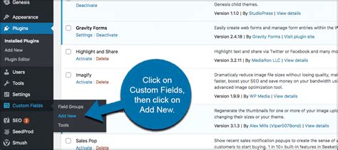 How To Get The Most Out Of Advanced Custom Fields In WordPress GreenGeeks