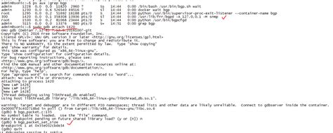 Frr Gdb Gdb Cant Set Break Point After Attaching Ospfd But Can When