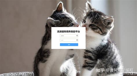 Springbootmybatismysqlvueelementui实现一个《流浪猫狗领养救助管理系统》毕业设计（超详细教程） 知乎