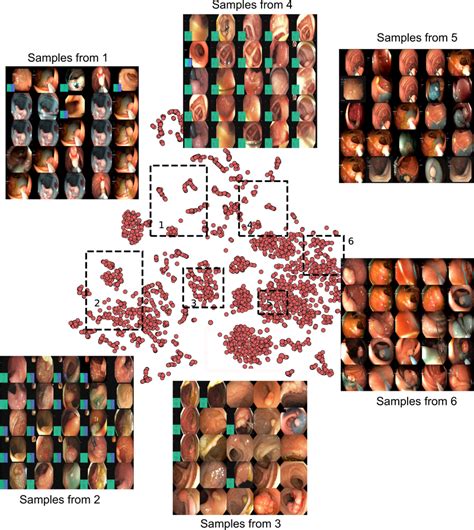 T Sne Plot For Positive Samples 2d T Sne Embedding Of The “polypgen