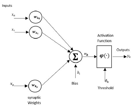 Mathematical Model Of Ann A Functional Model Of Neurons Must Consider Download Scientific