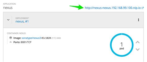 deploy and use the nexus docker registry in openshift tom donohue