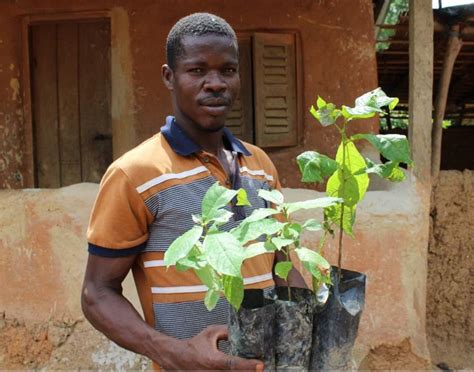 Cocoa And Forests Initiative Cfi Reports Progress Towards Ending Deforestation Through