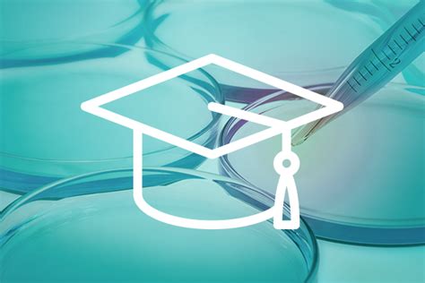 Character Strengths And Wellbeing In Adolescence Dr Paige Motivational Leadership Speaker