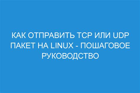 Как отправить Tcp или Udp пакет на Linux