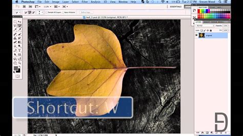 Graphic Design For Beginners Ep Removing An Object From Its Background In Photoshop CS