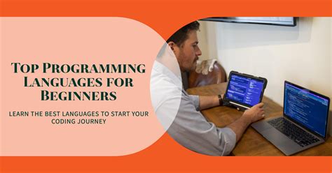 Top Programming Languages For Beginners HQL EduTech