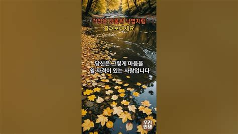 잡지 말고 흘려보내세요 걱정은 낙엽입니다 불안할 때 듣는 마음 안정 명상 잠들기 전 부처님 말씀 인간관계 스트레스 해소 힐링 오디오북 인생 조언