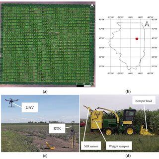 Experimental Field Layout Of Four Row Plots Including Border Download Scientific Diagram