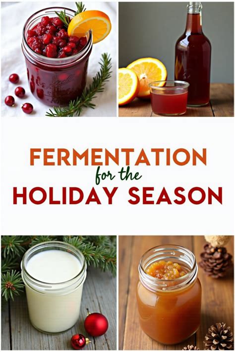 Holiday Fermentation Delights A Festive Guide To Probiotic Foods And Drinks Ferment And Flavor