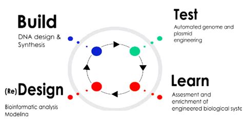 Bio­ Manufacturing And Bio­foundry Significance Challenges And Way Forward Pwonlyias
