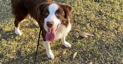 Switch Album On Imgur Switch Album On Imgur