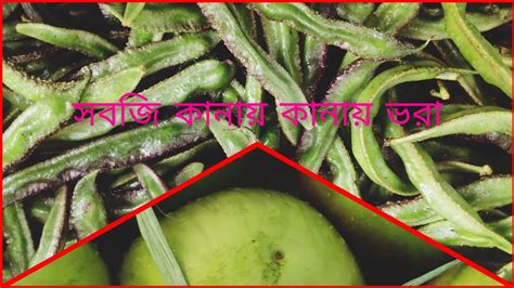 2 ডিসেম্বর বৃহত্তম পাইকারি বাজারে সবজির ঢল বাজার সখিপুর টাঙ্গাইল বিস্তারিত জেনে নিন Youtube