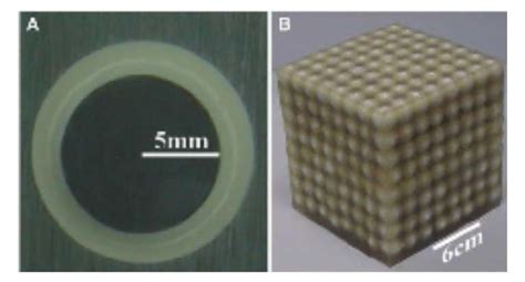 2 Construction Of The A Unit Cell And B Structure Of The First Download Scientific Diagram