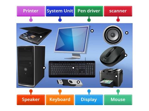 Lable The Components Of The Computer Labelled Diagram Lable The Components Of The Computer Labelled Diagram