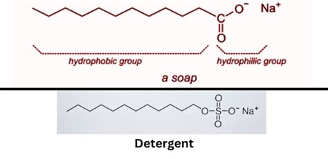 Distinguish Between Soap And Detergent