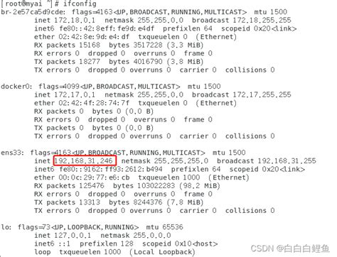 Docker部署2——实现两个容器互相访问并运行项目docker不同容器之间访问 Csdn博客