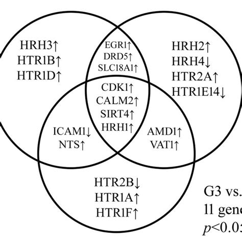 venn diagram of microarray results showing genes differentiating