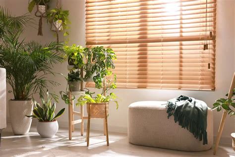 How To Dress A Window Without Curtains Dresses Images 2025