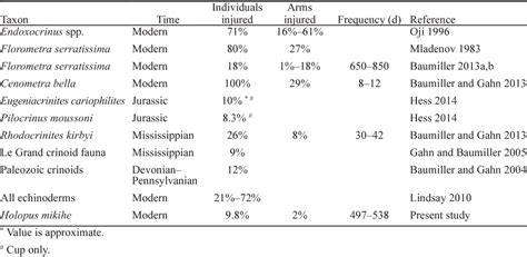 Holopus Rangii Semantic Scholar
