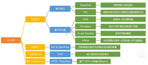 MMPose人体姿态估计 CSDN社区