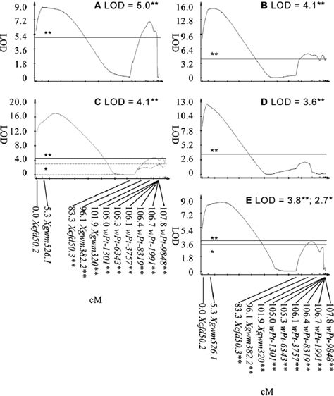 Composite Interval Analysis Of Chromosome 2d For The Quantitative Trait