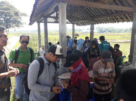 Praktikum Mata Kuliah Rekayasa Genetik Dan Bioinformatika Di Daerah Wuluhan Jember Program