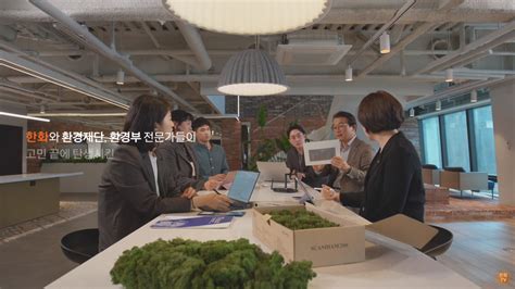 스칸디아 스칸디아모스 공기정화식물 습기제거식물 모스 이끼